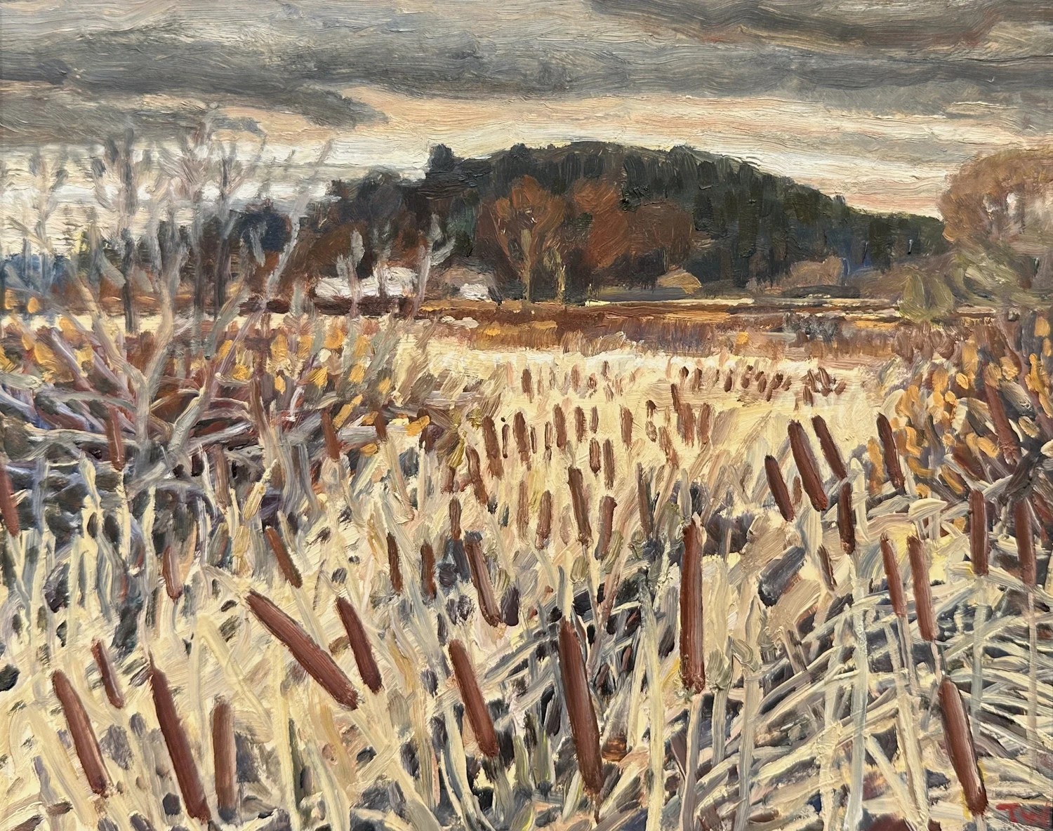 Thomas Wood Paintings — Harris Harvey Gallery