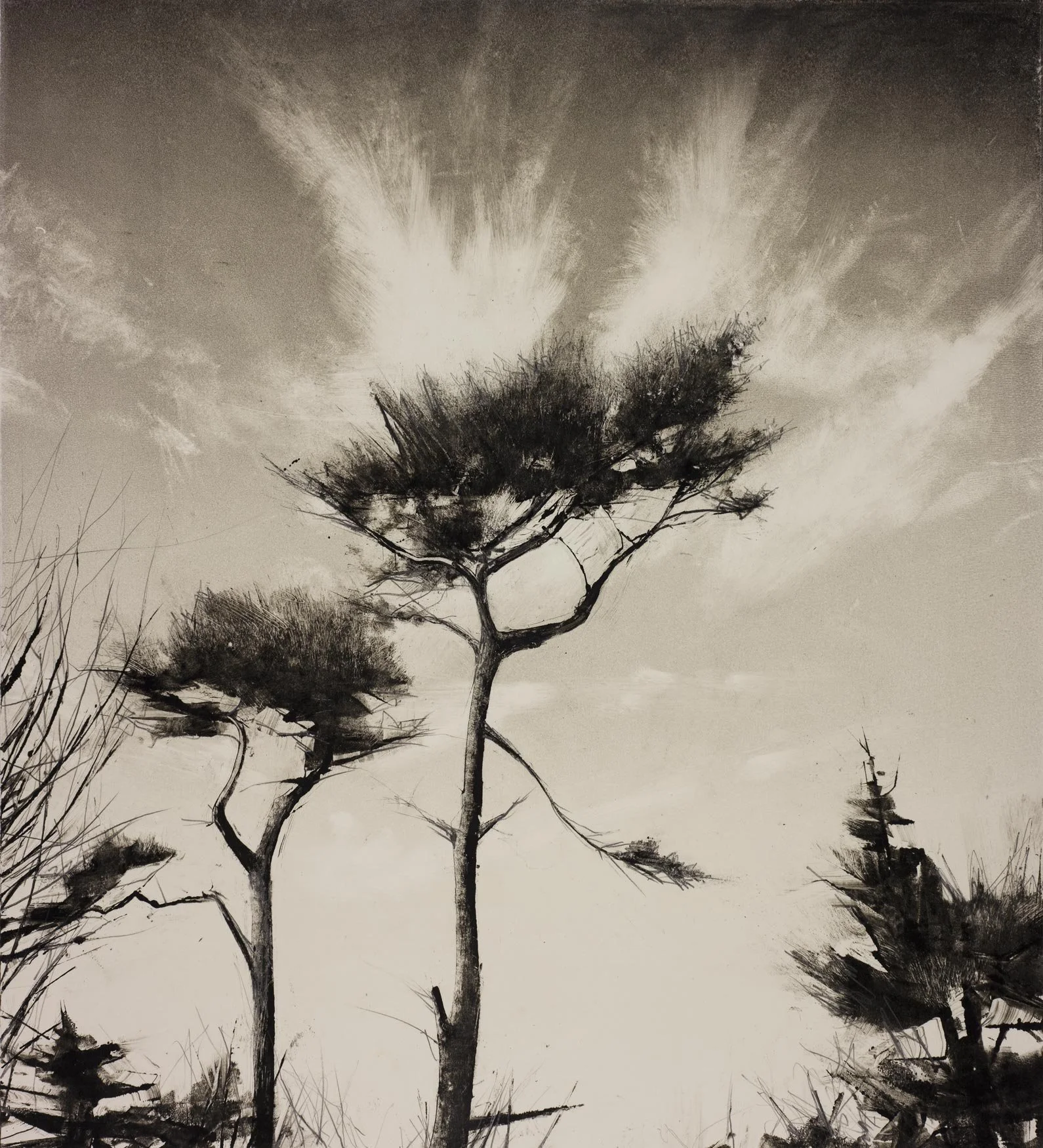 Wendy Orville Northwest Artist — Harris Harvey Gallery