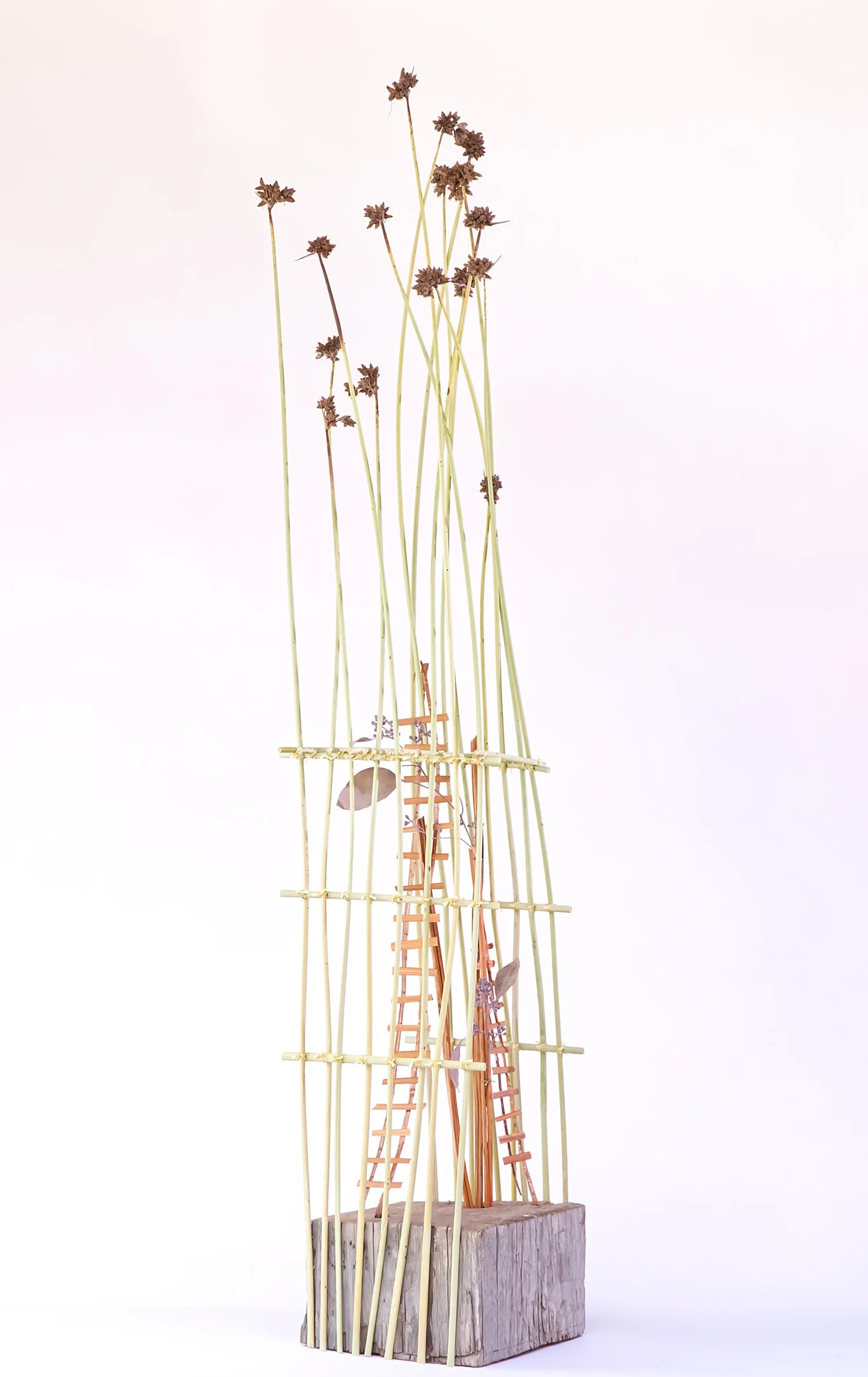 Ann Morris - Northwest Sculptor — Harris Harvey Gallery