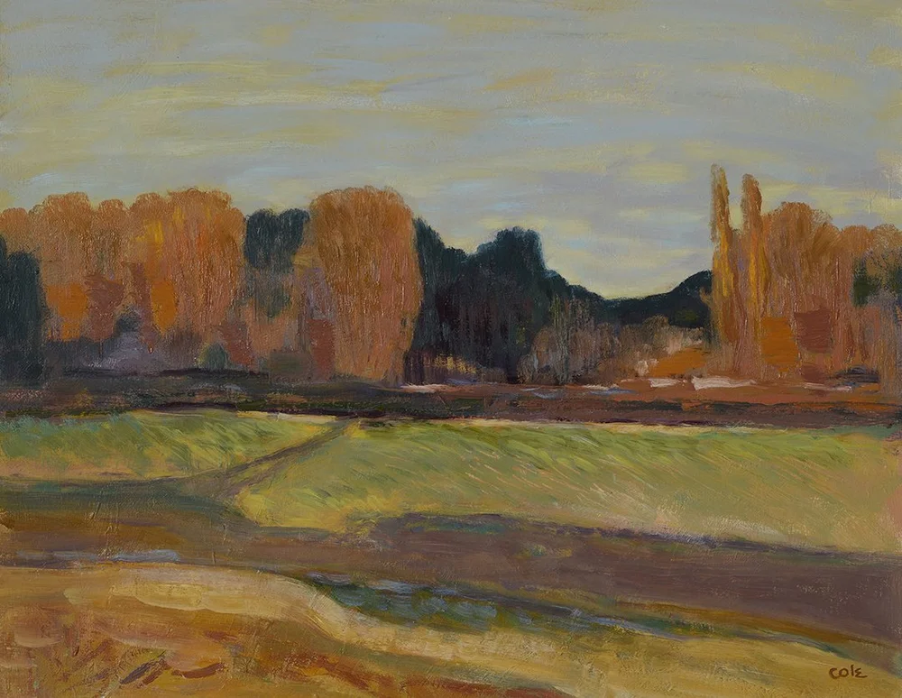 John Cole - Paintings and Drawings — Harris Harvey Gallery