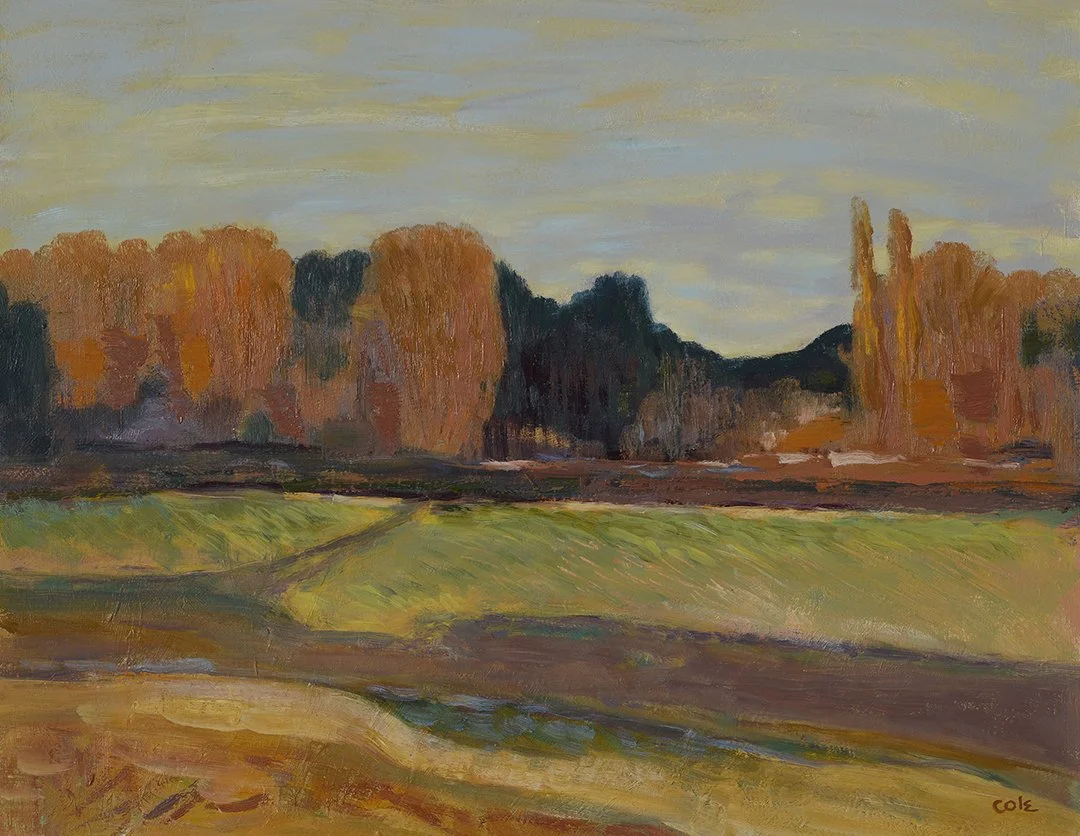 John Cole - Paintings and Drawings — Harris Harvey Gallery