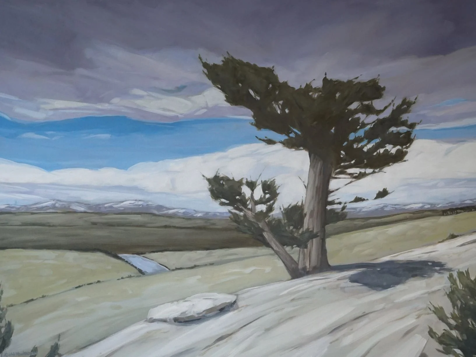 Store 1 — SCOTT MACKENZIE ART