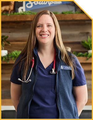 Southpaw Vet - Top Rated San Diego Veterinarian — Southpaw Vet