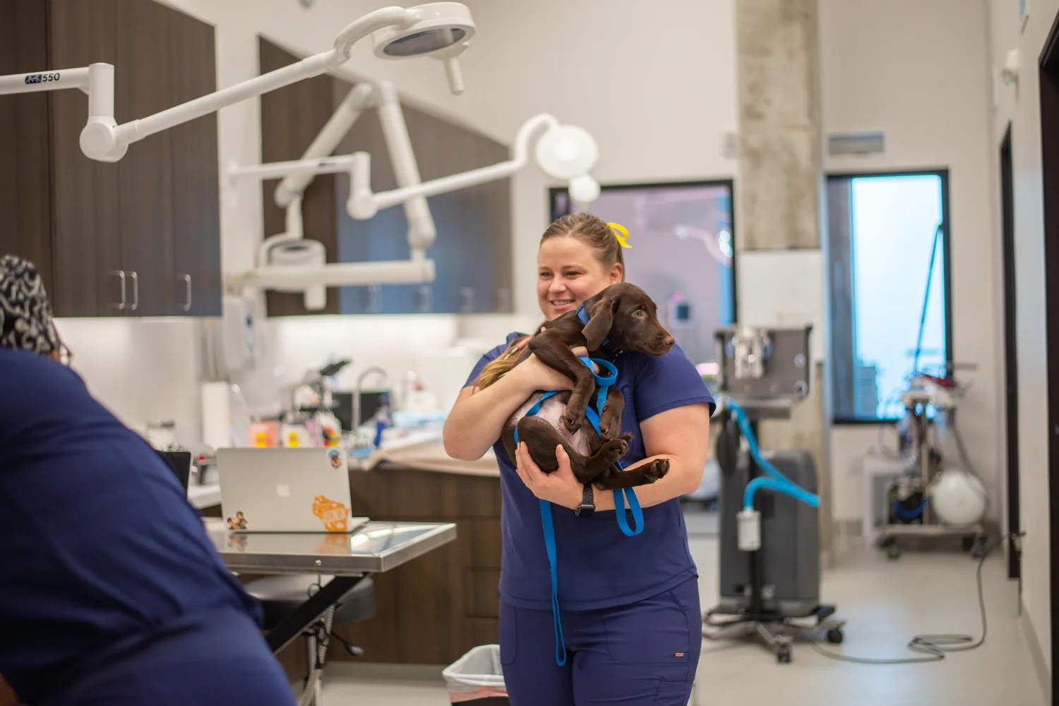 Southpaw Vet - Top Rated San Diego Veterinarian