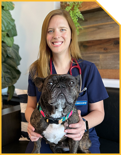 About Us — Southpaw Vet