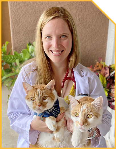 About Us — Southpaw Vet