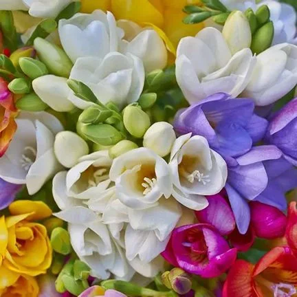 Calendar — Cynthia Rutledge Beadwork & Workshops