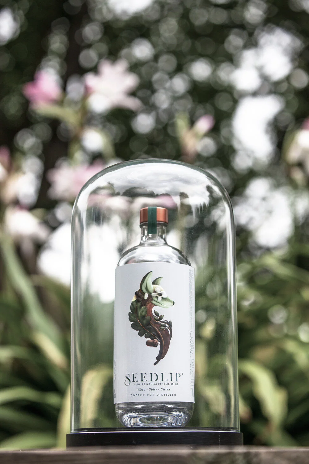THE ENTREPRENEUR-SPIRATION SERIES: THE SEEDLIP STORY — Lesley Stonier