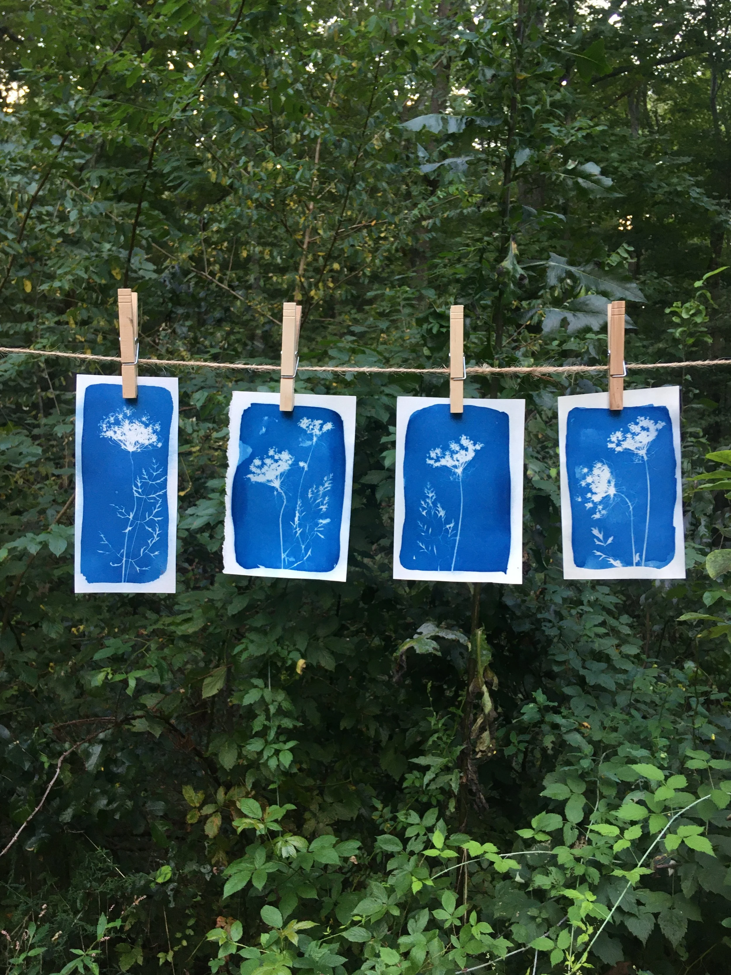 artwork — Sara Elena Riegler