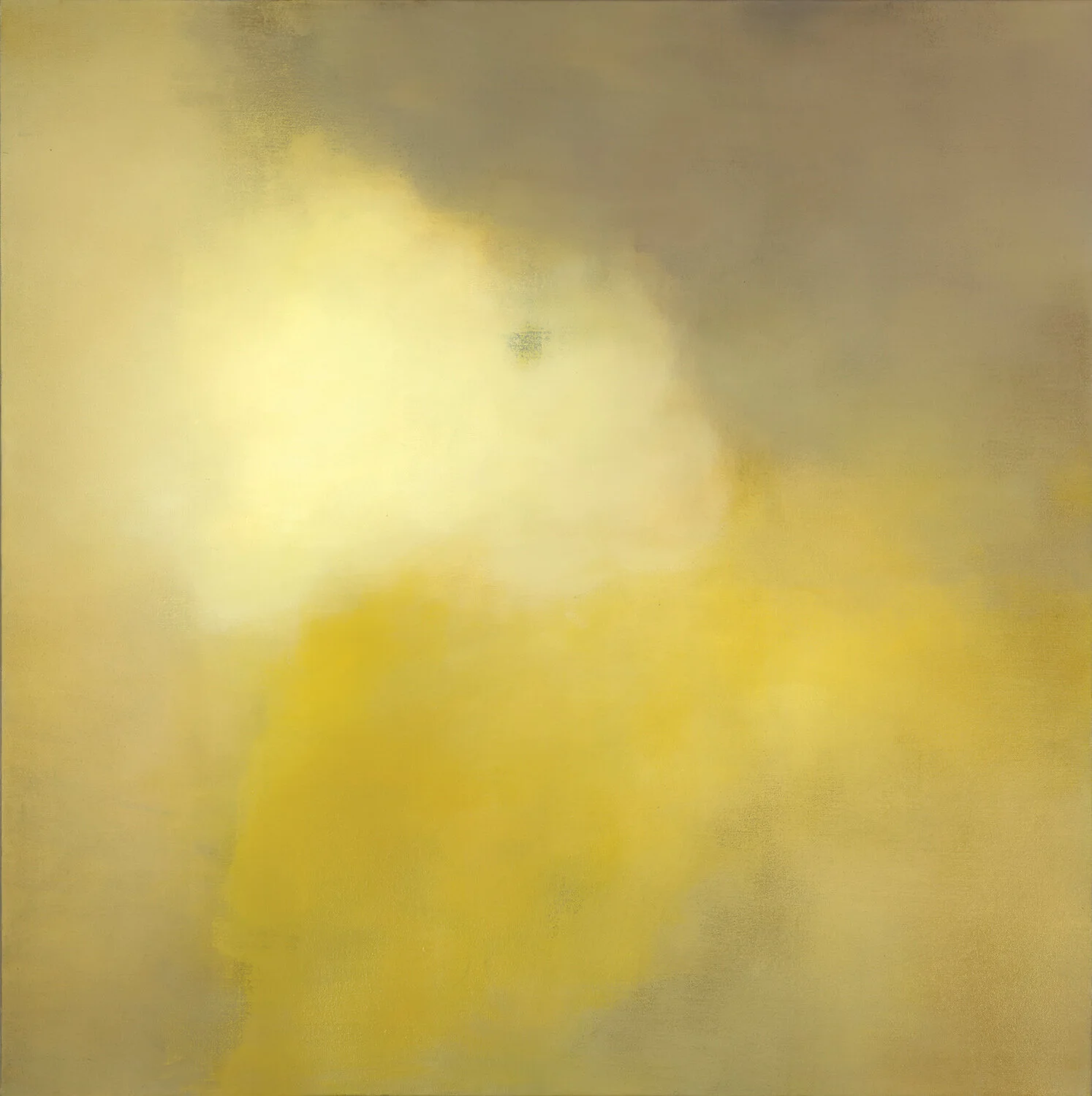 Store 2 — studio susan spies