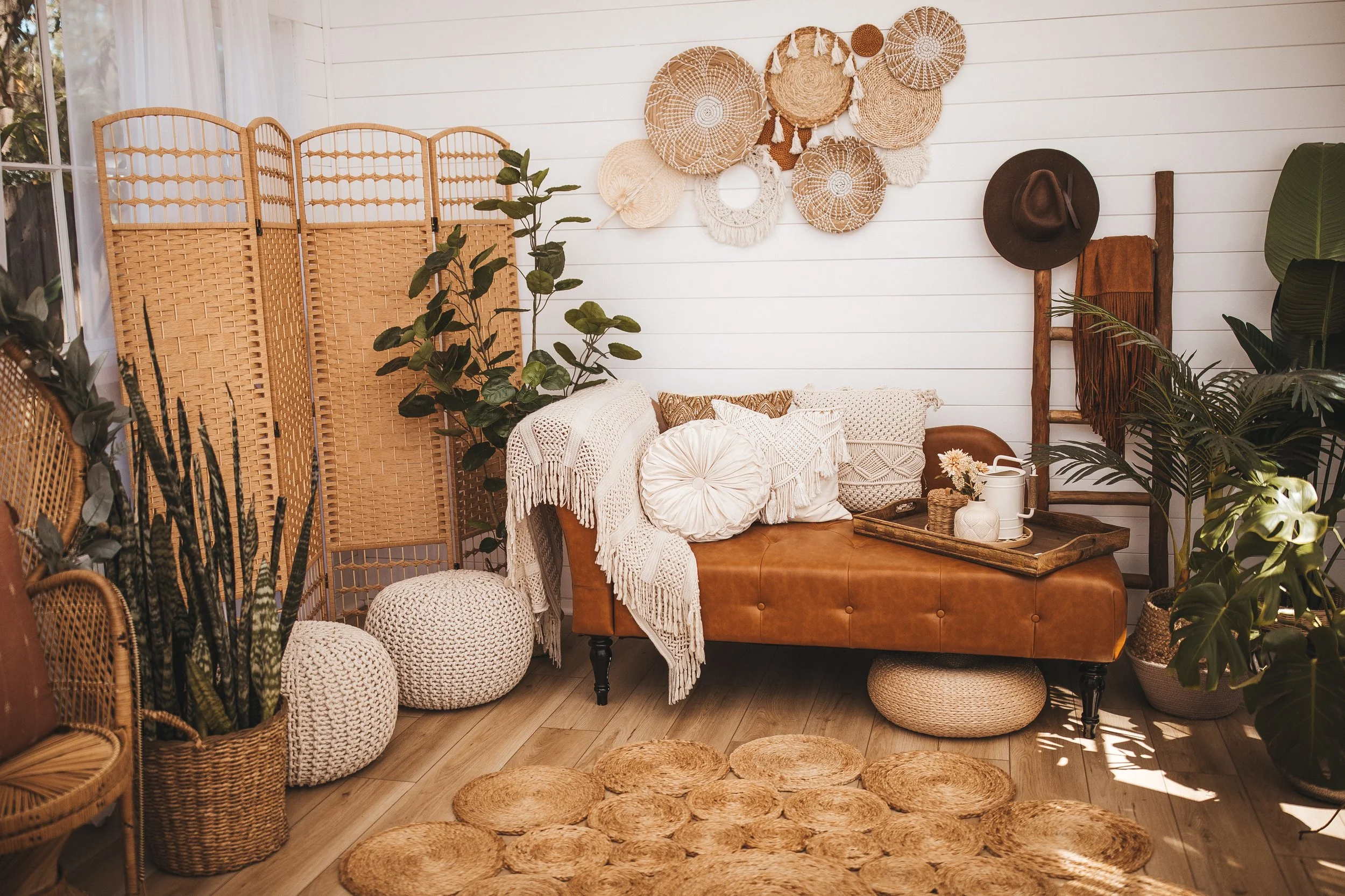 Tampa Florida Greenhouse Studio