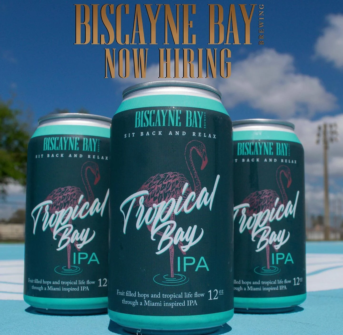 Biscayne Bay Brewing 🍺🌴