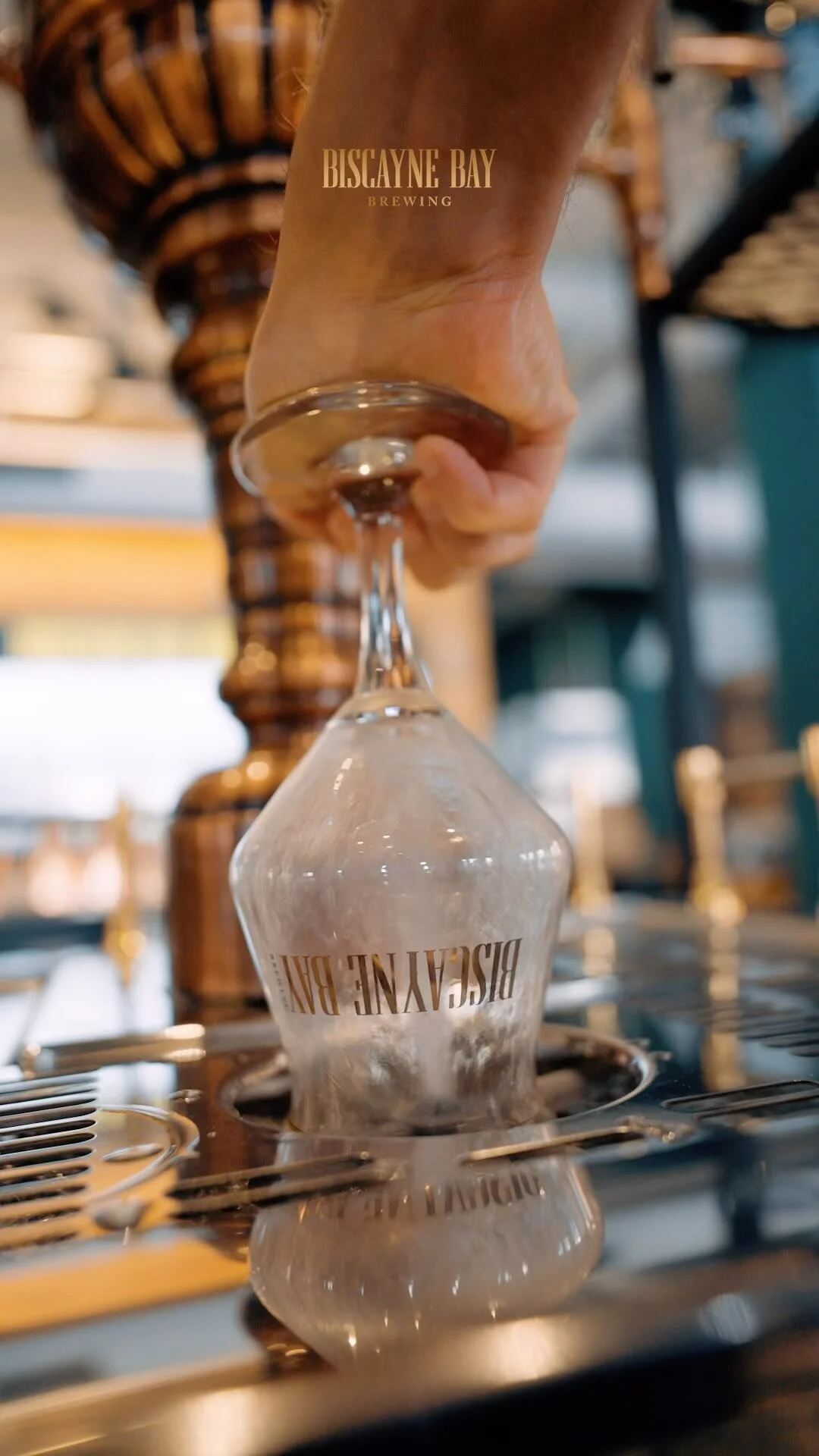 Biscayne Bay Brewing 🍺🌴