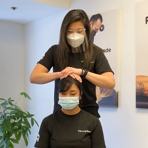 Cervical Meniscoid — Rehab Hero