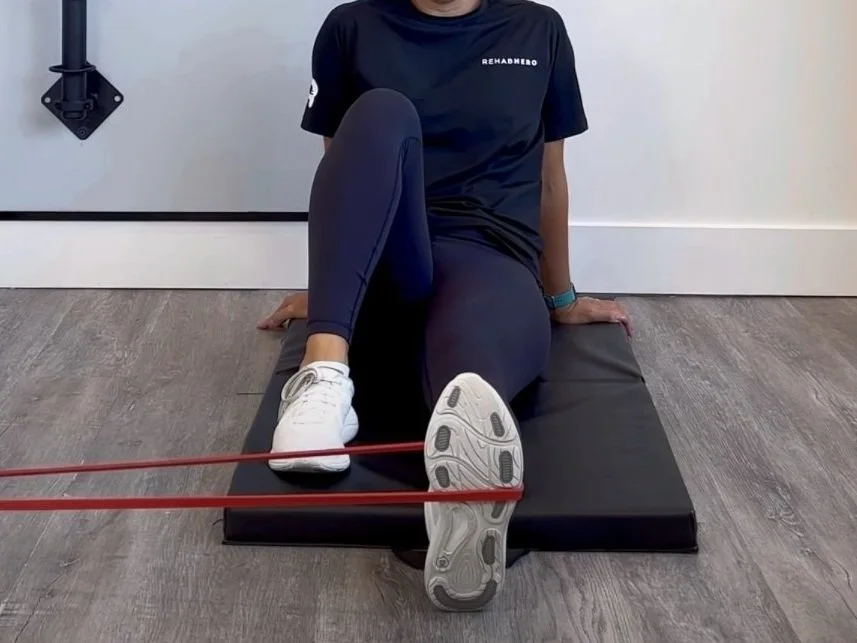 Ankle — Exercise Library & Database — Rehab Hero