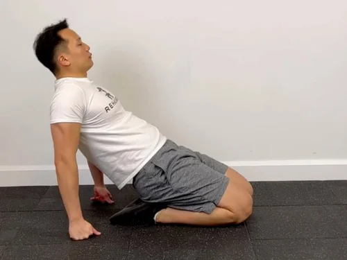 Knee — Rehab Hero