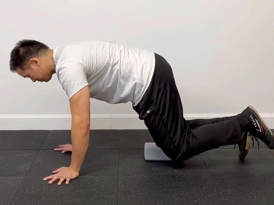 Multifidus — Exercise Library & Database — Rehab Hero