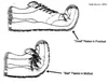 Running Shoe Motion Control Tests and Lacing Patterns — Rehab Hero