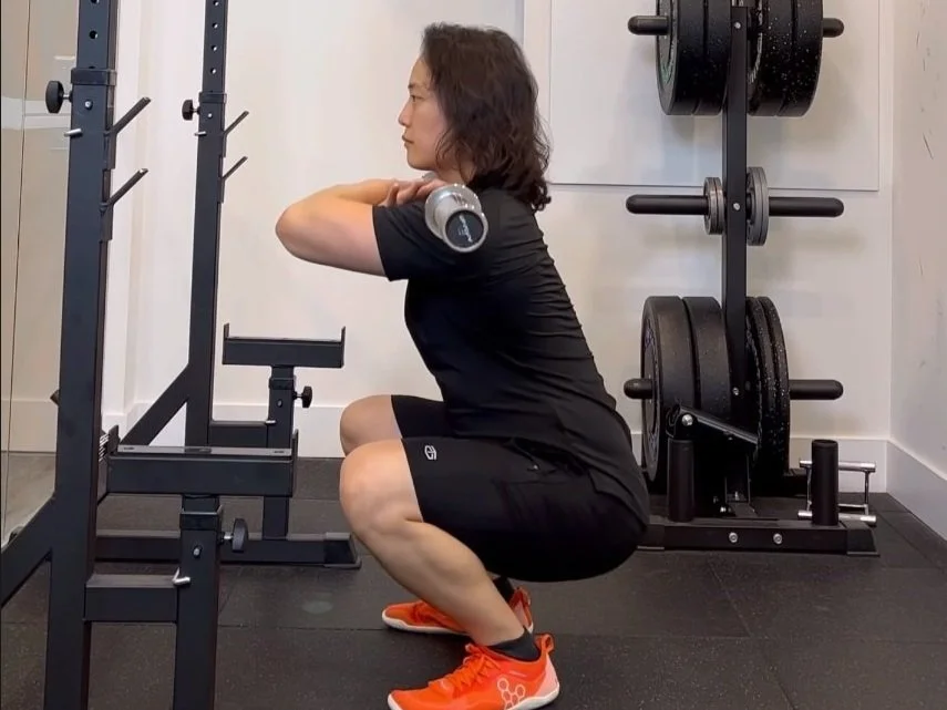 Squat — Exercise Library & Database — Rehab Hero