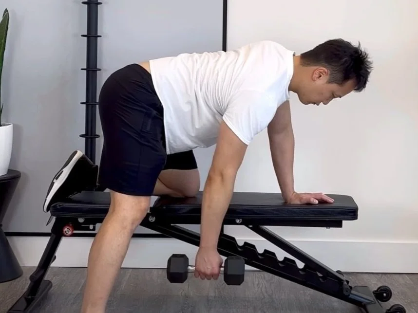 Scapula — Exercise Library & Database — Rehab Hero