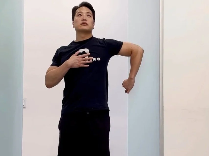 Shoulder — Exercise Library & Database — Rehab Hero