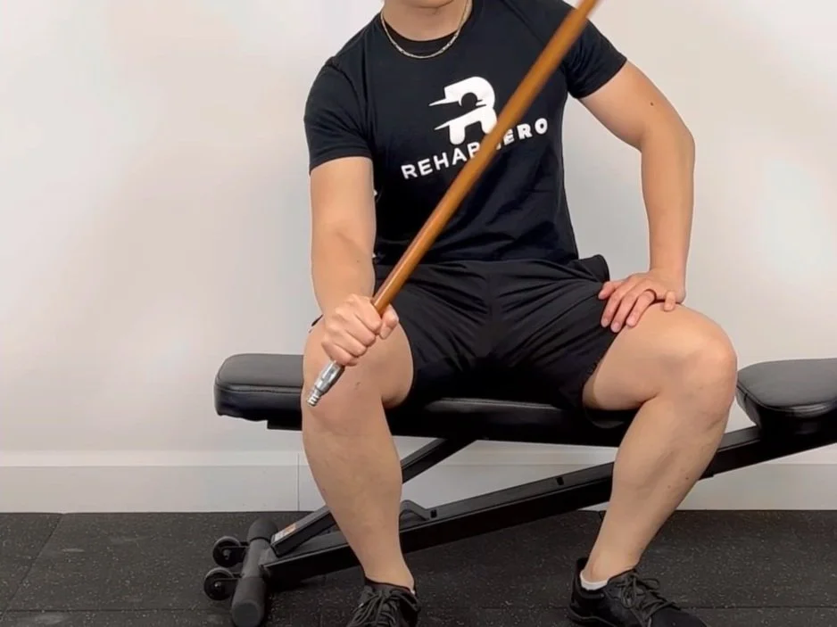 Dumbbell Wrist Twist