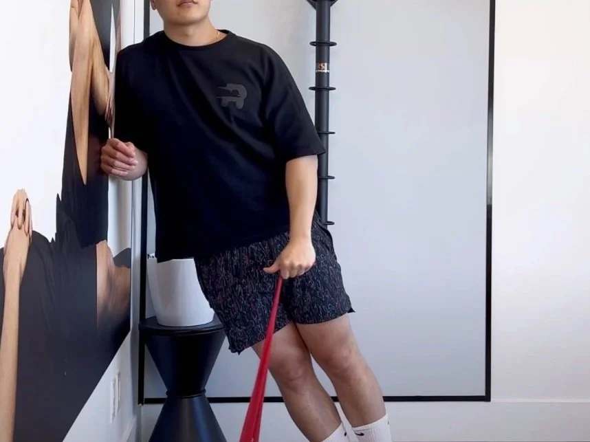 Shoulder — Exercise Library & Database — Rehab Hero