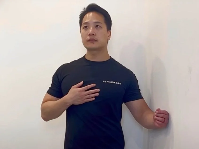 Shoulder — Exercise Library & Database — Rehab Hero