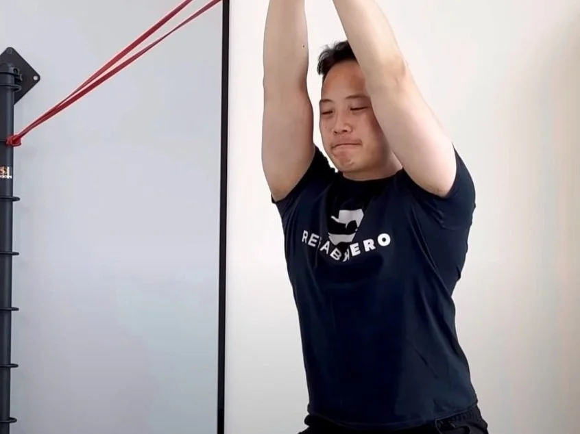 Squat — Exercise Library & Database — Rehab Hero
