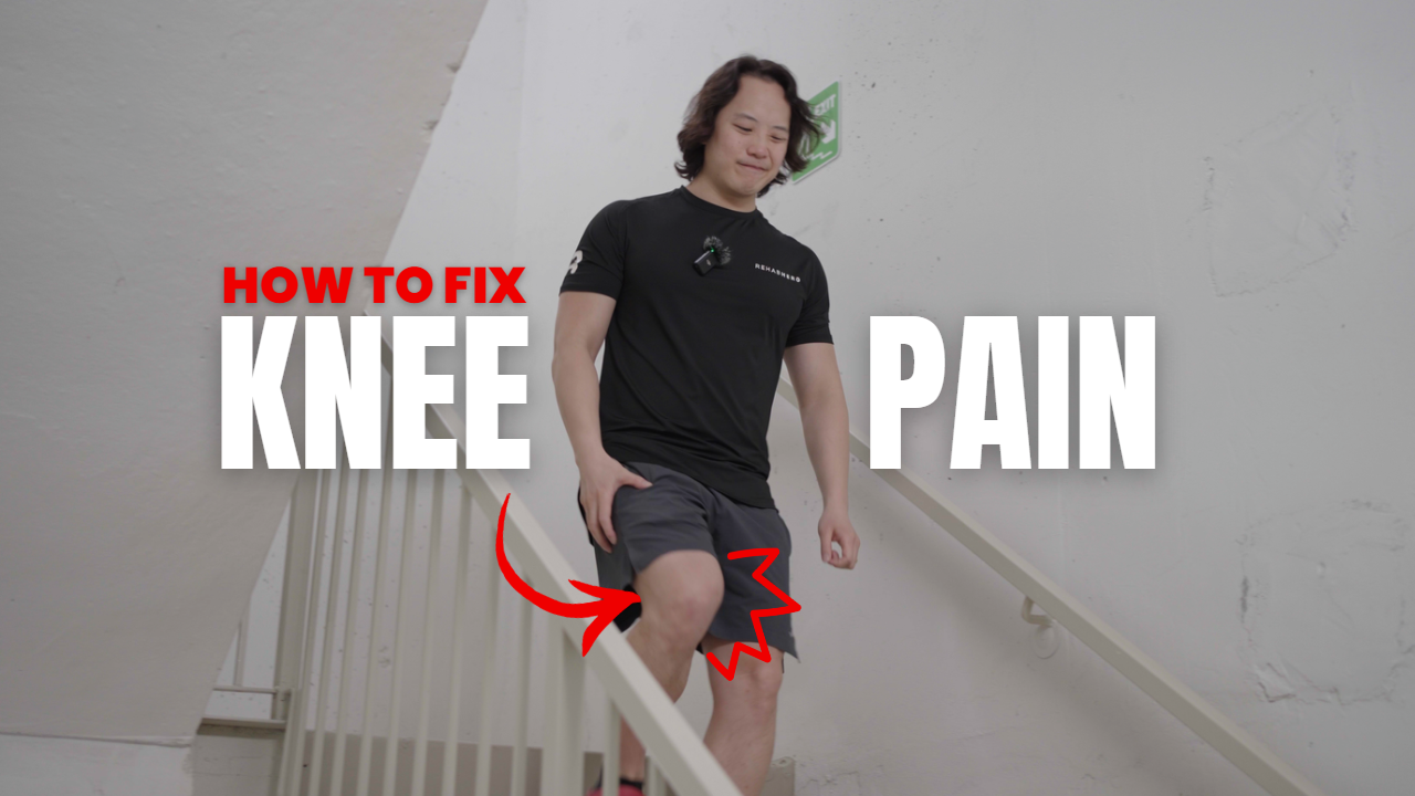 Pes Anserine Bursitis — Rehab Hero