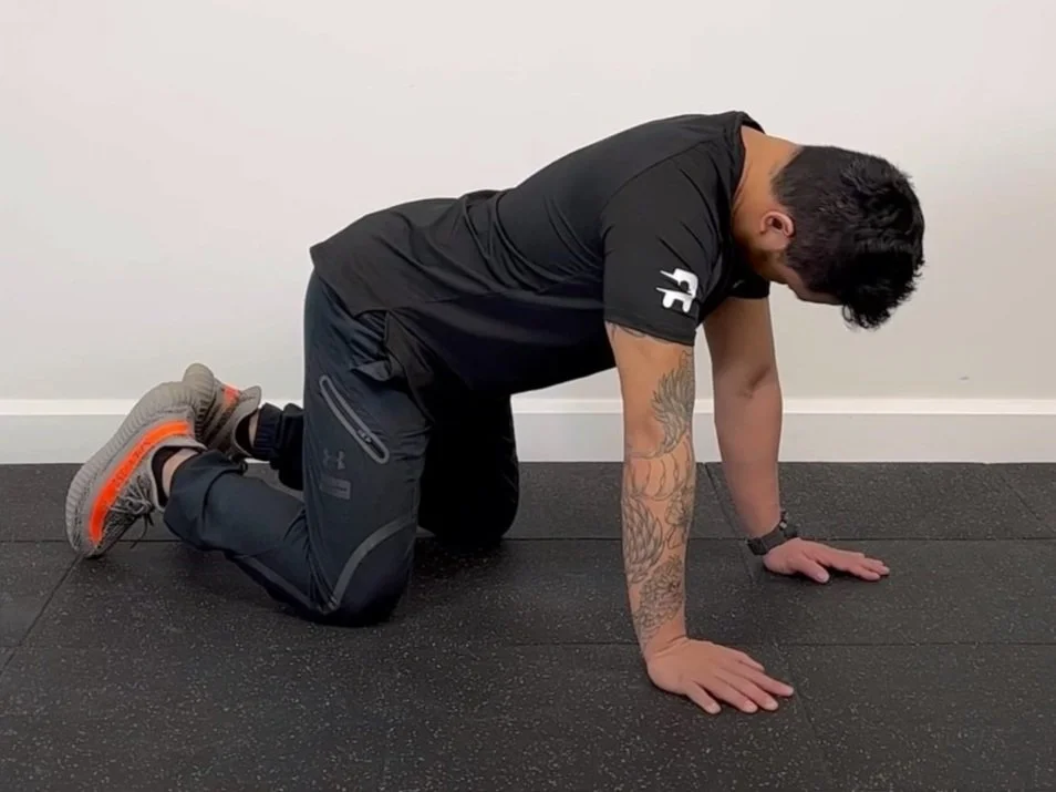 Neck — Rehab Hero