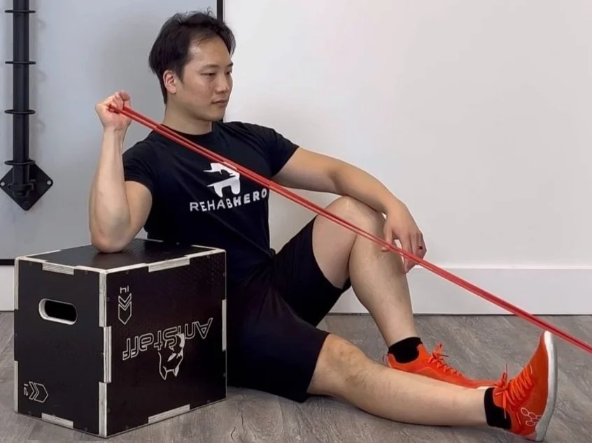 Shoulder — Exercise Library & Database — Rehab Hero