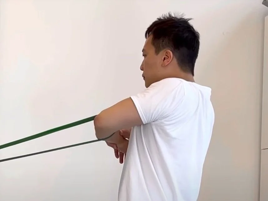 Scapula — Exercise Library & Database — Rehab Hero