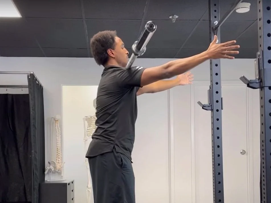 Squat — Exercise Library & Database — Rehab Hero