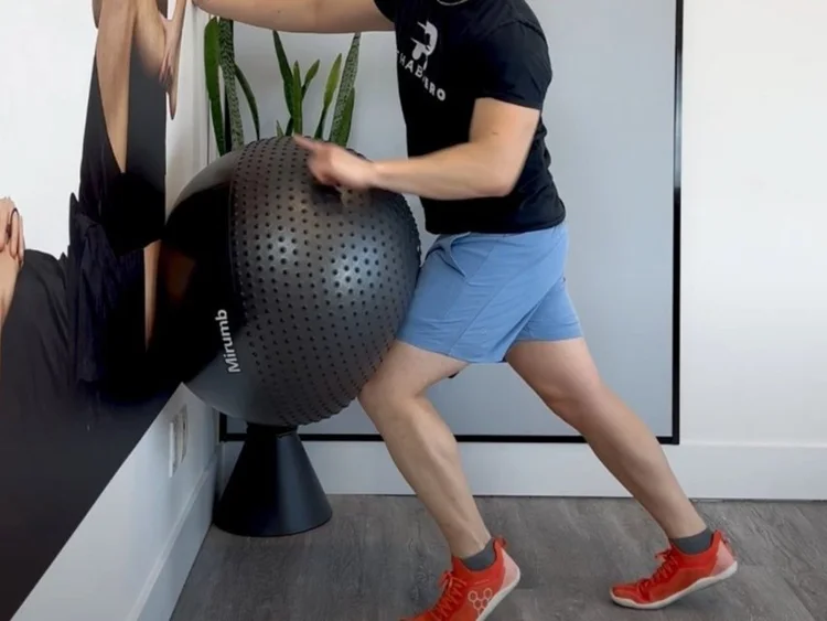 Hip — Exercise Library & Database — Rehab Hero
