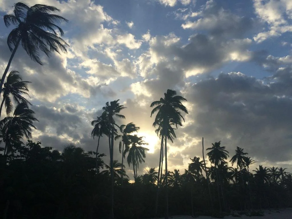 El Matuy — This Is Colombia