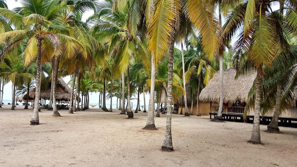 El Matuy — This Is Colombia