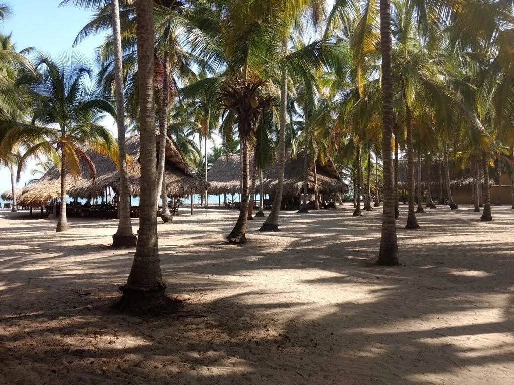 El Matuy — This Is Colombia