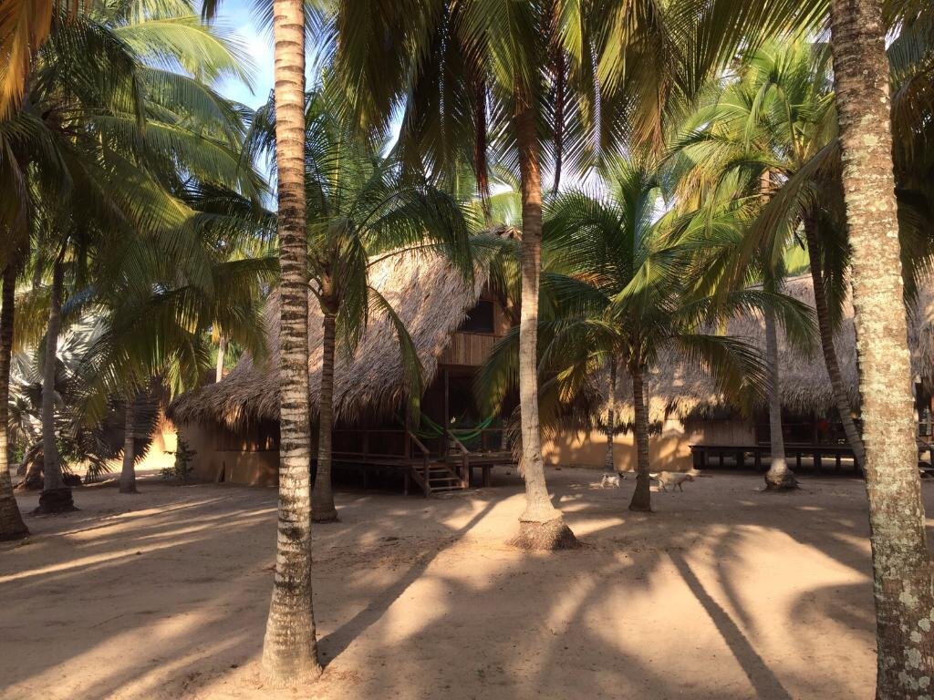 El Matuy — This Is Colombia