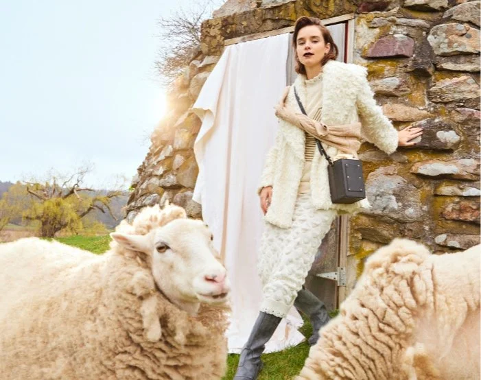 Investigation shows ZQ certified ‘ethical’ wool farm cruelty and abuse ...