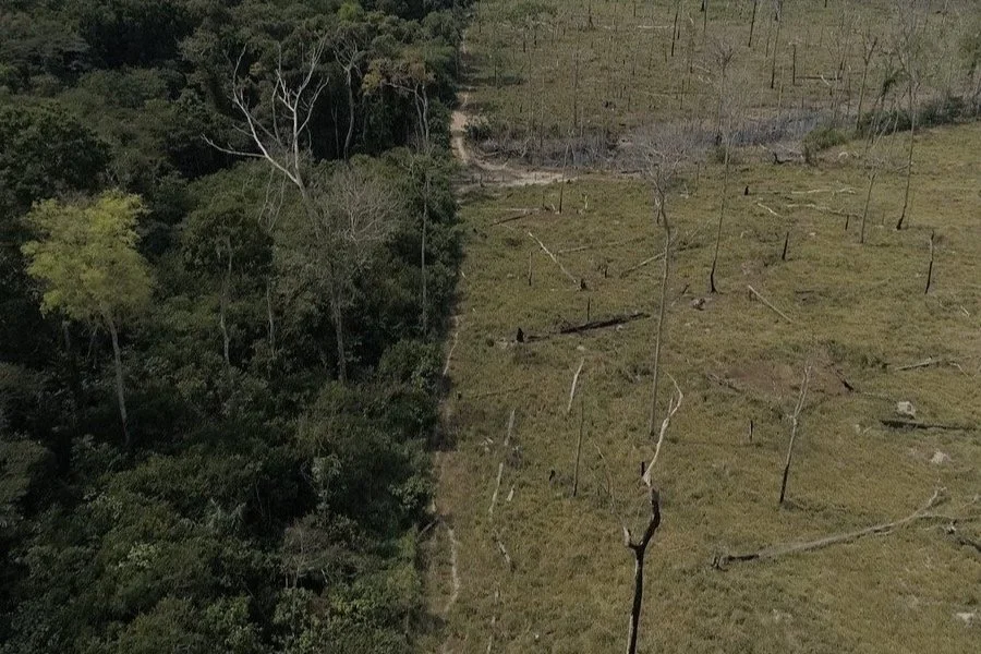 Planet — Collective Fashion Justice