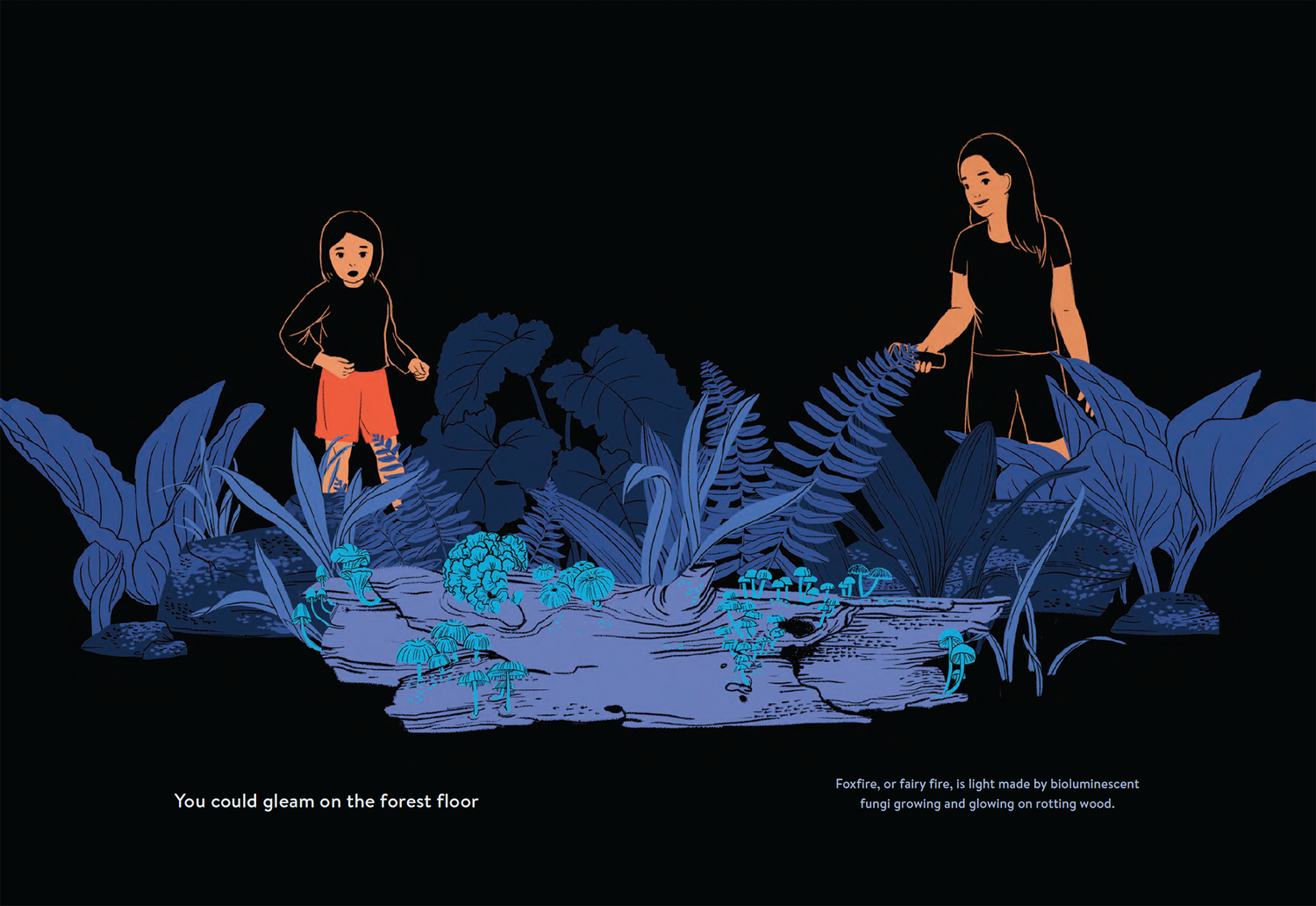 Luminous: Living Things That Light Up the Night