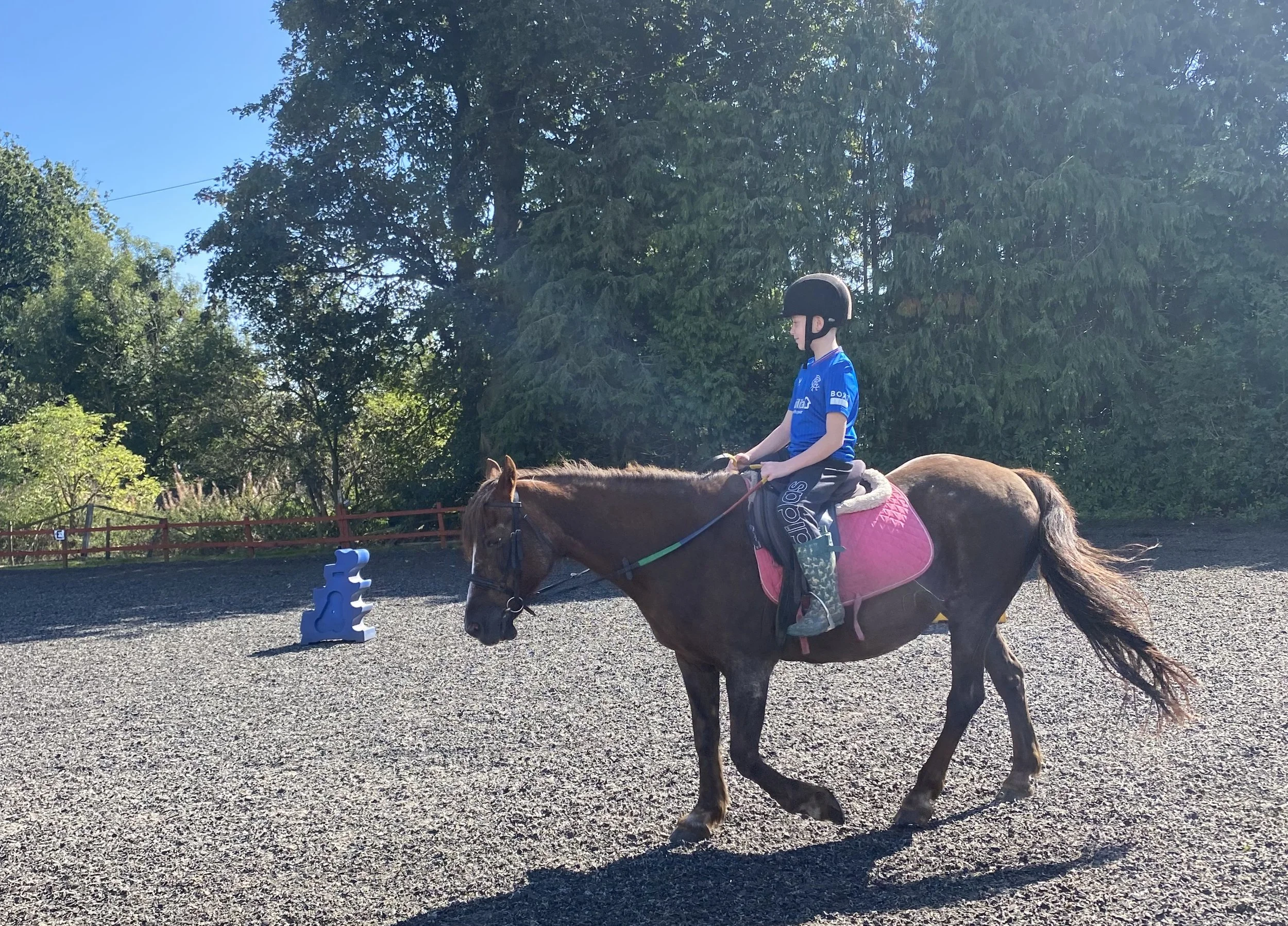 Education — Starley Hall