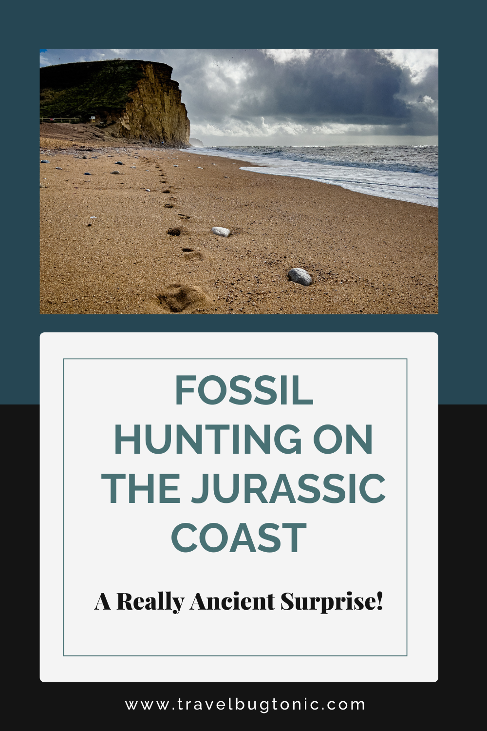 Fossil Hunting on the Jurassic Coast - A Really Ancient Surprise! — Travel Bug Tonic
