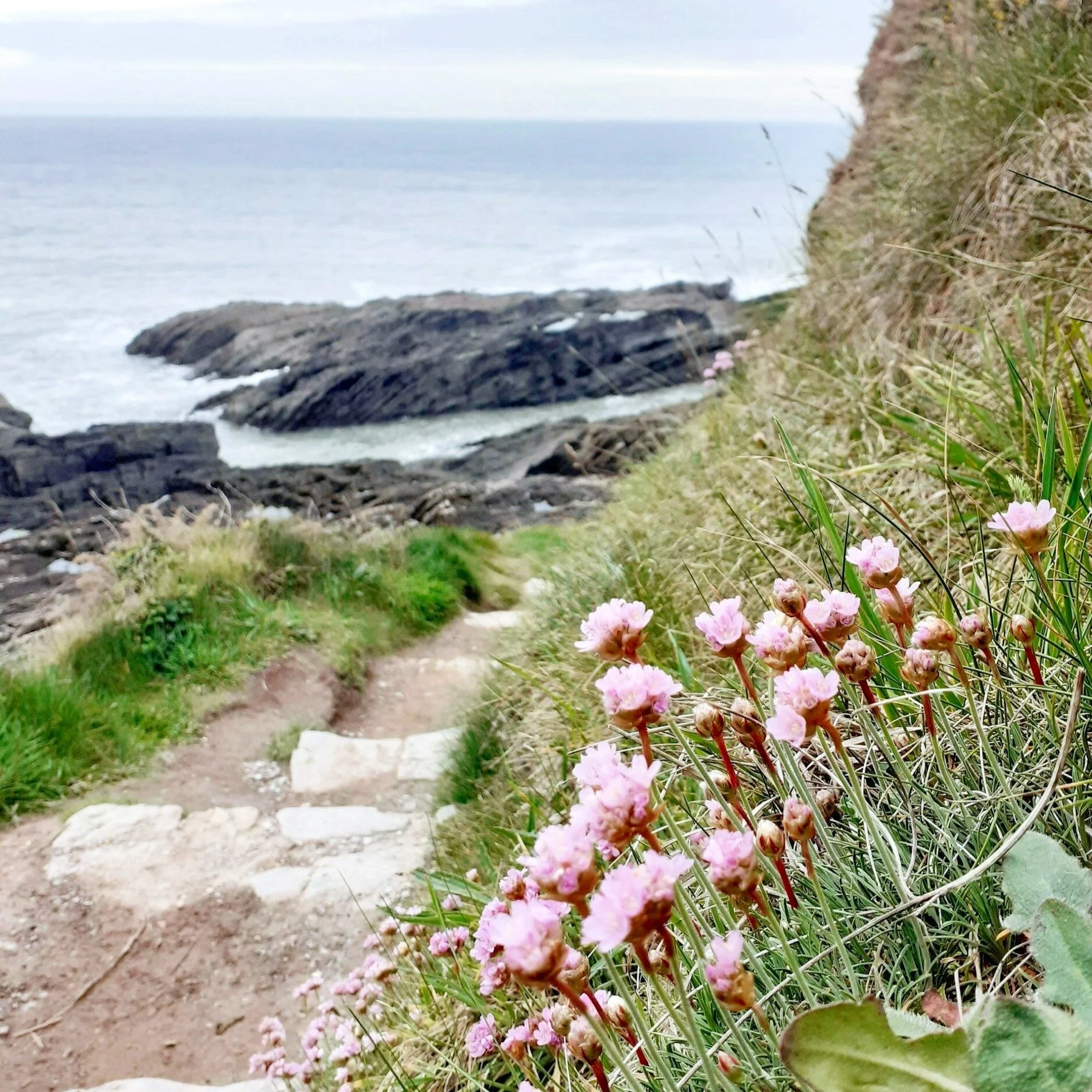 Long Distance Walking: Camino Alternatives and Thru Hikes — Travel Bug ...