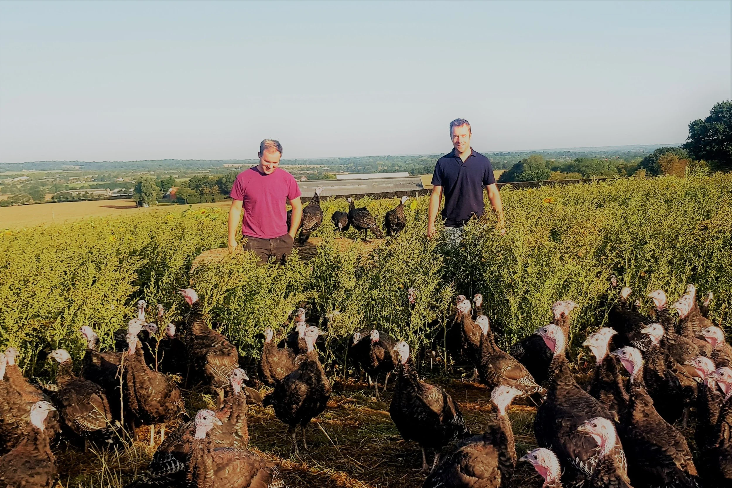 Forest Lodge Farm — Forest Lodge Farm