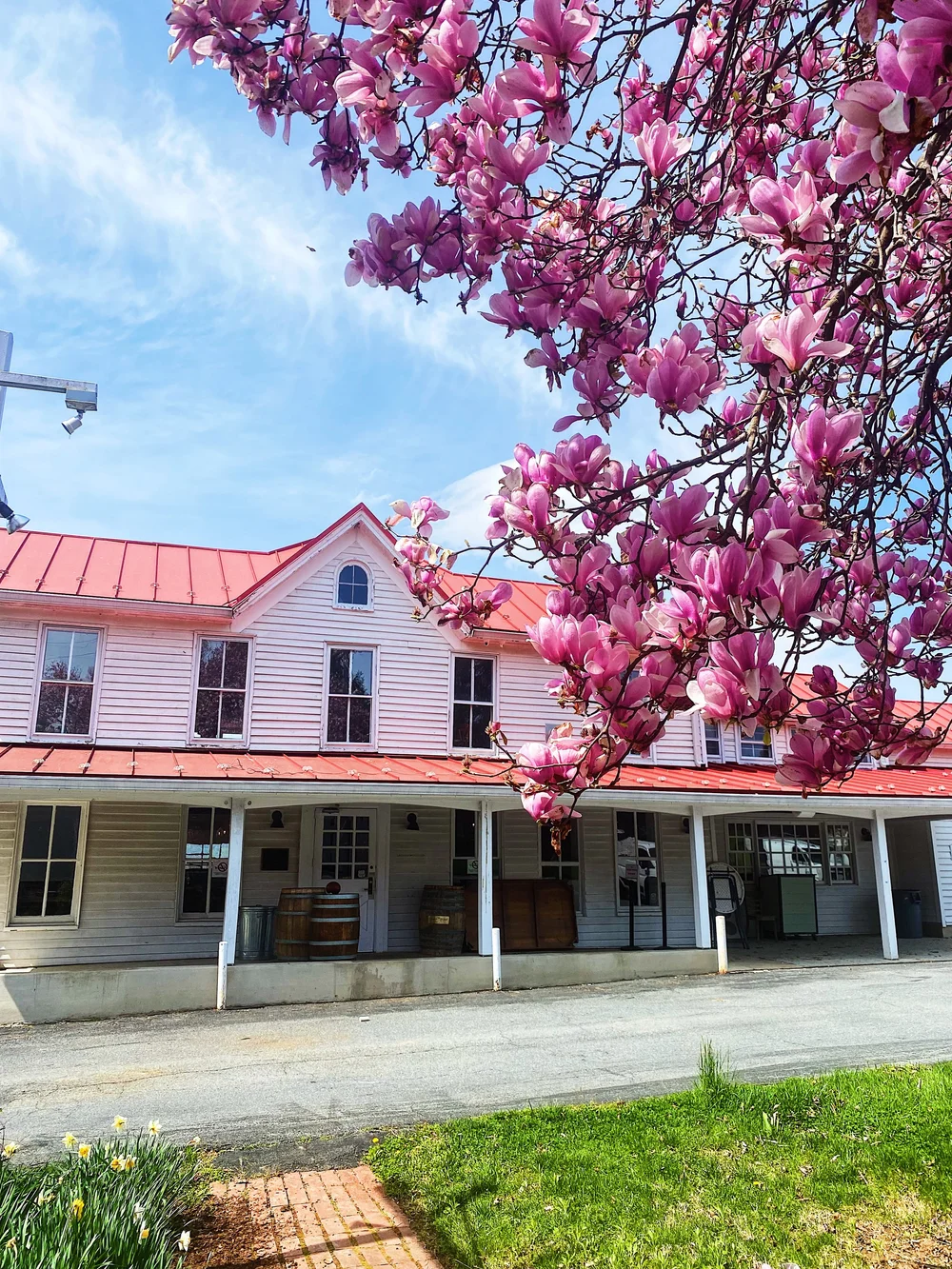 Great food and craft beers in Maryland — Comus Restaurant & Beer Garden