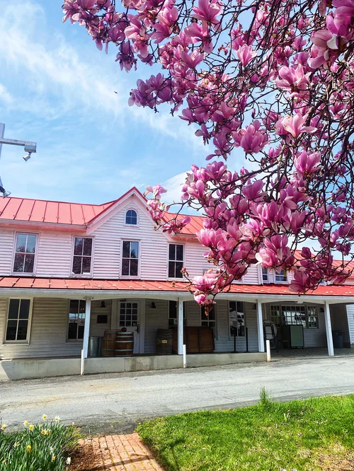 Great food and craft beers in Maryland — Comus Restaurant & Beer Garden