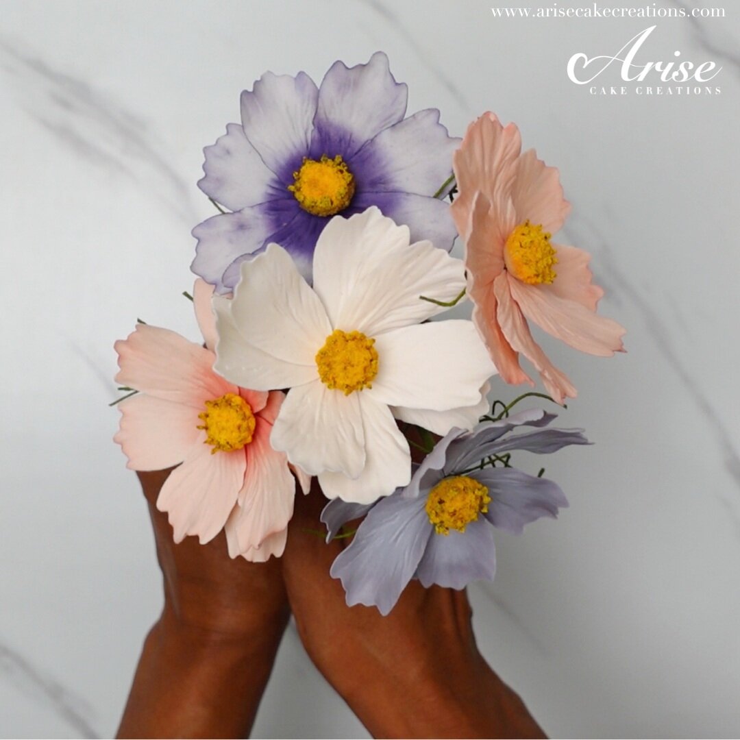 Easy Gumpaste Cosmos Flower | Beginner Friendly | Free Template — Arise ...