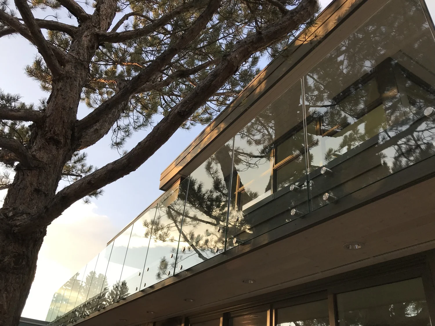 FRAMELESS GLASS RAIL — Railpro